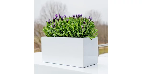 Erre figyelj, mikor balkonládát választasz!